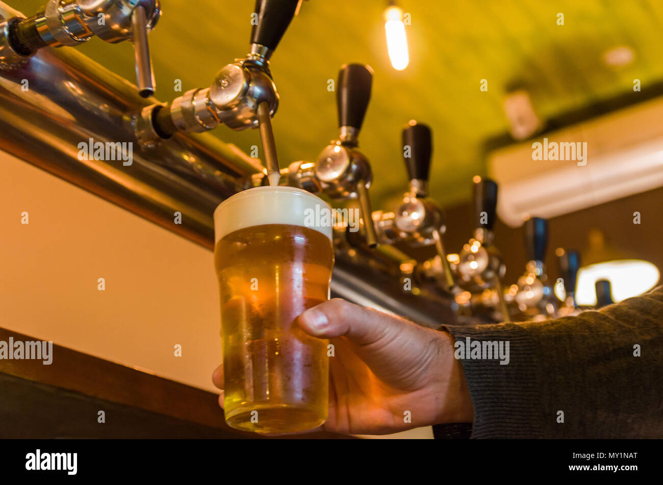 Beer being taken from the tap in brewpub, craft beer, hand of ma Stock ...