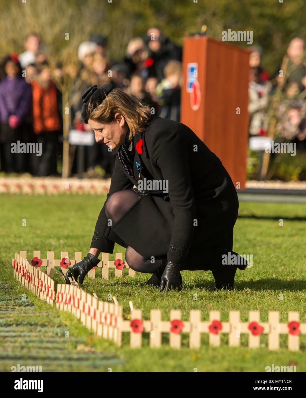 Royal Wootton Bassettt field of remembrance opens at Lydiard Park ...