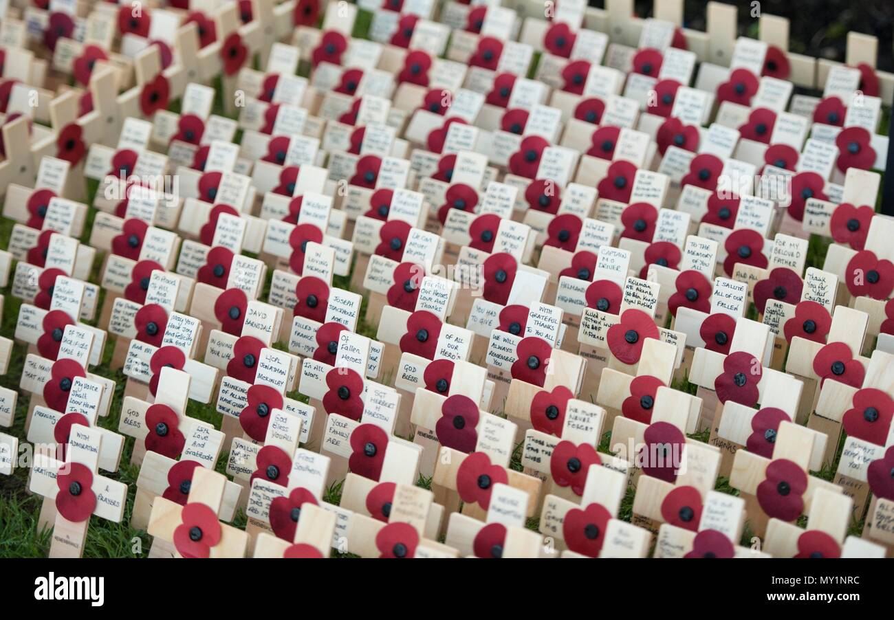 Royal Wootton Bassettt field of remembrance opens at Lydiard Park ...