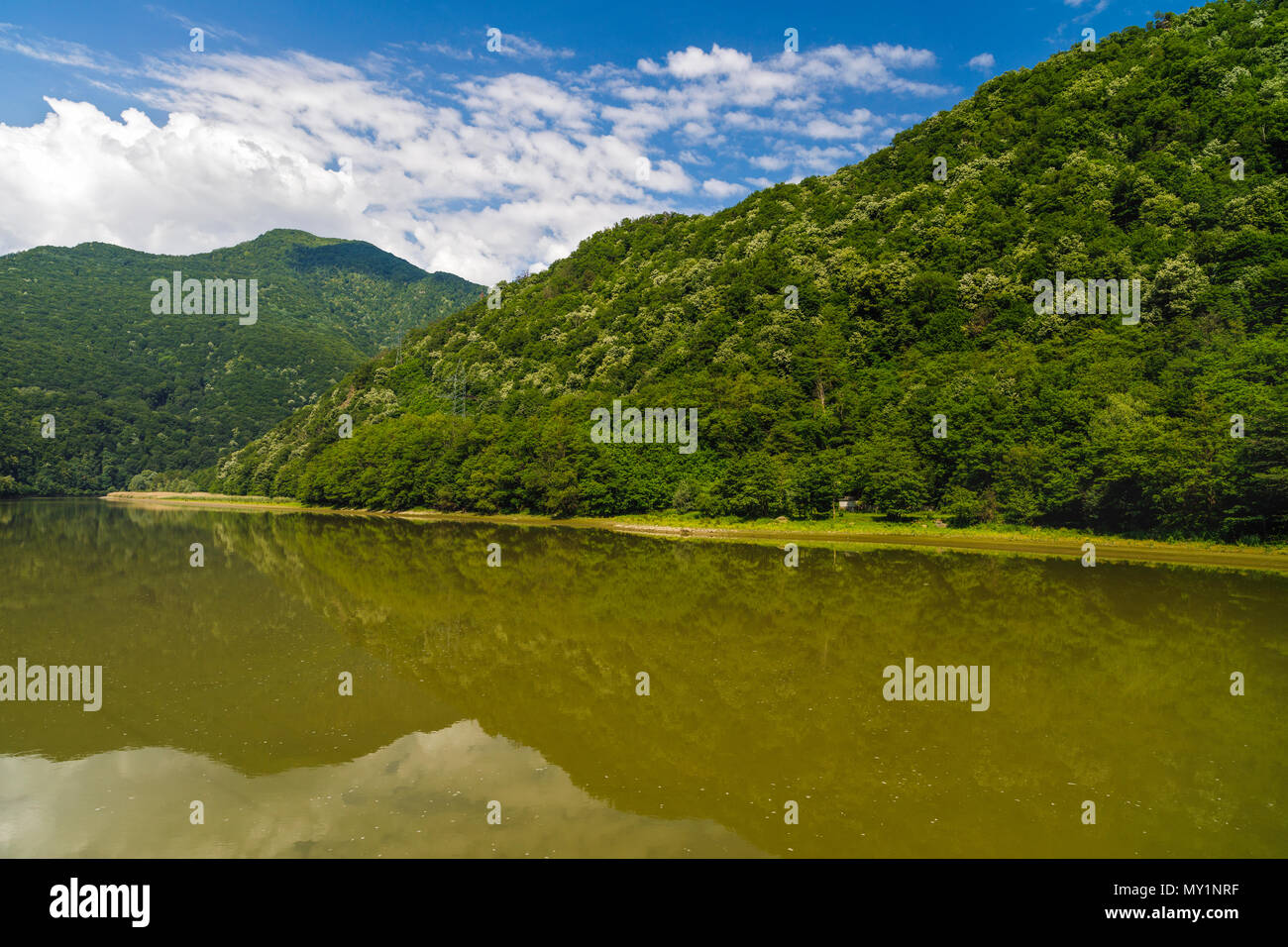 Landscape with Olt river in Romania surrounded by forest and mountains ...
