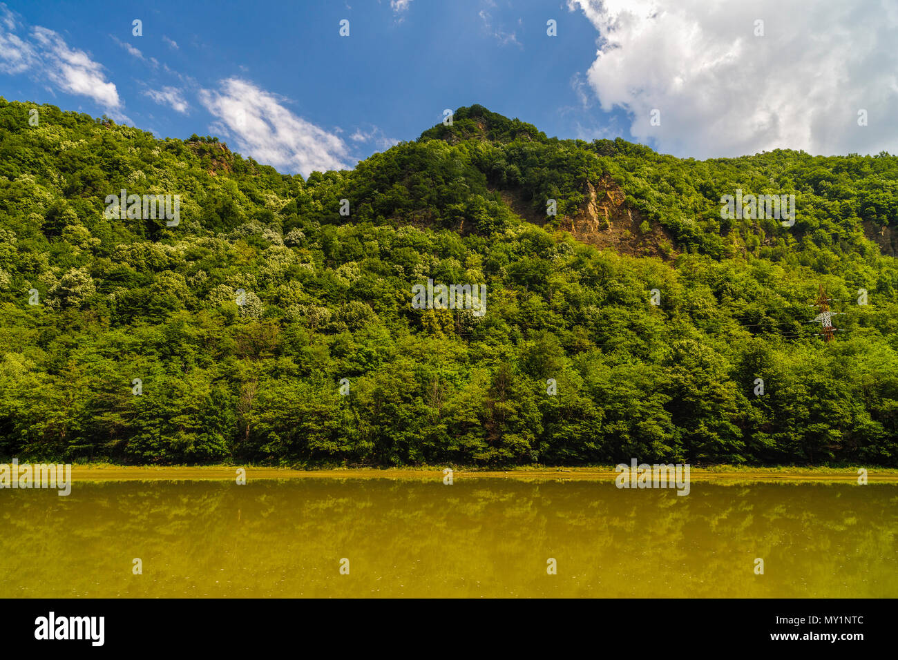 Landscape with Olt river in Romania surrounded by forest and mountains ...