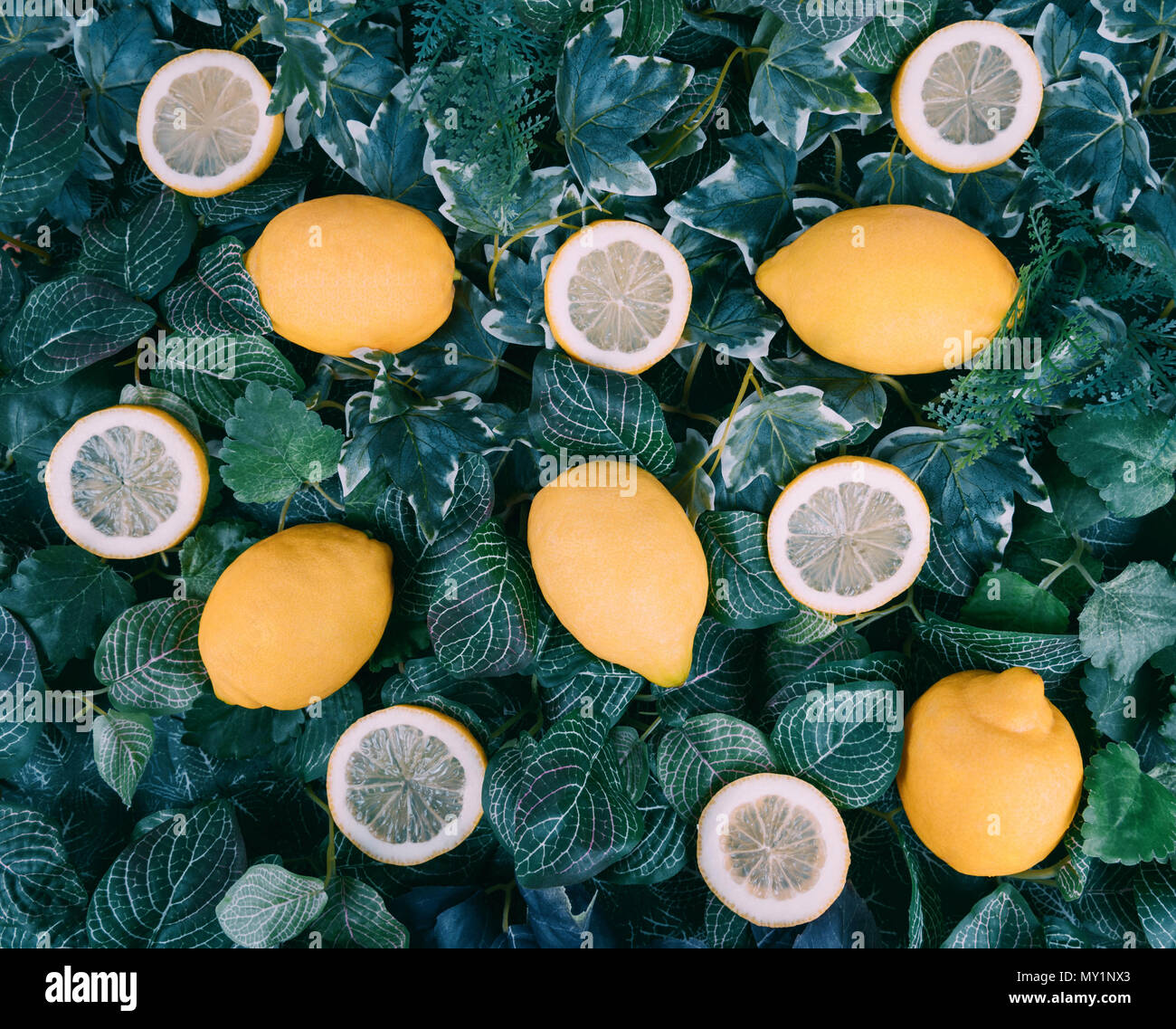 Citrus background. Assorted fresh lemon fruits with leaves Stock Photo ...