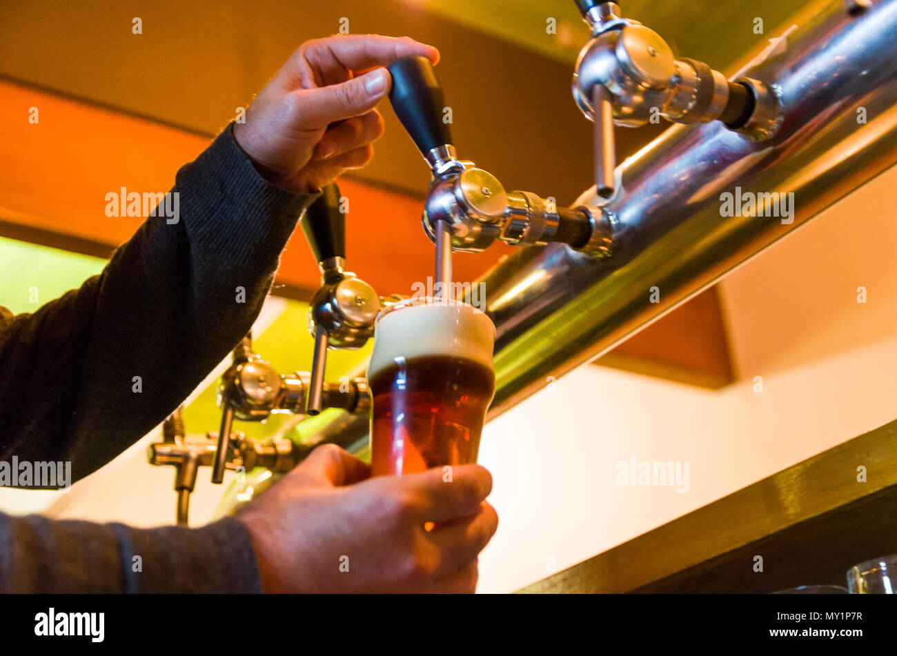 Beer being taken from the tap in brewpub, craft beer, hand of ma Stock ...