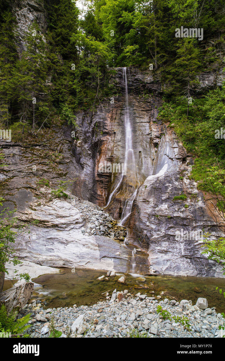 Details of a hidden waterfall in Carpathian Mountains forest Stock ...