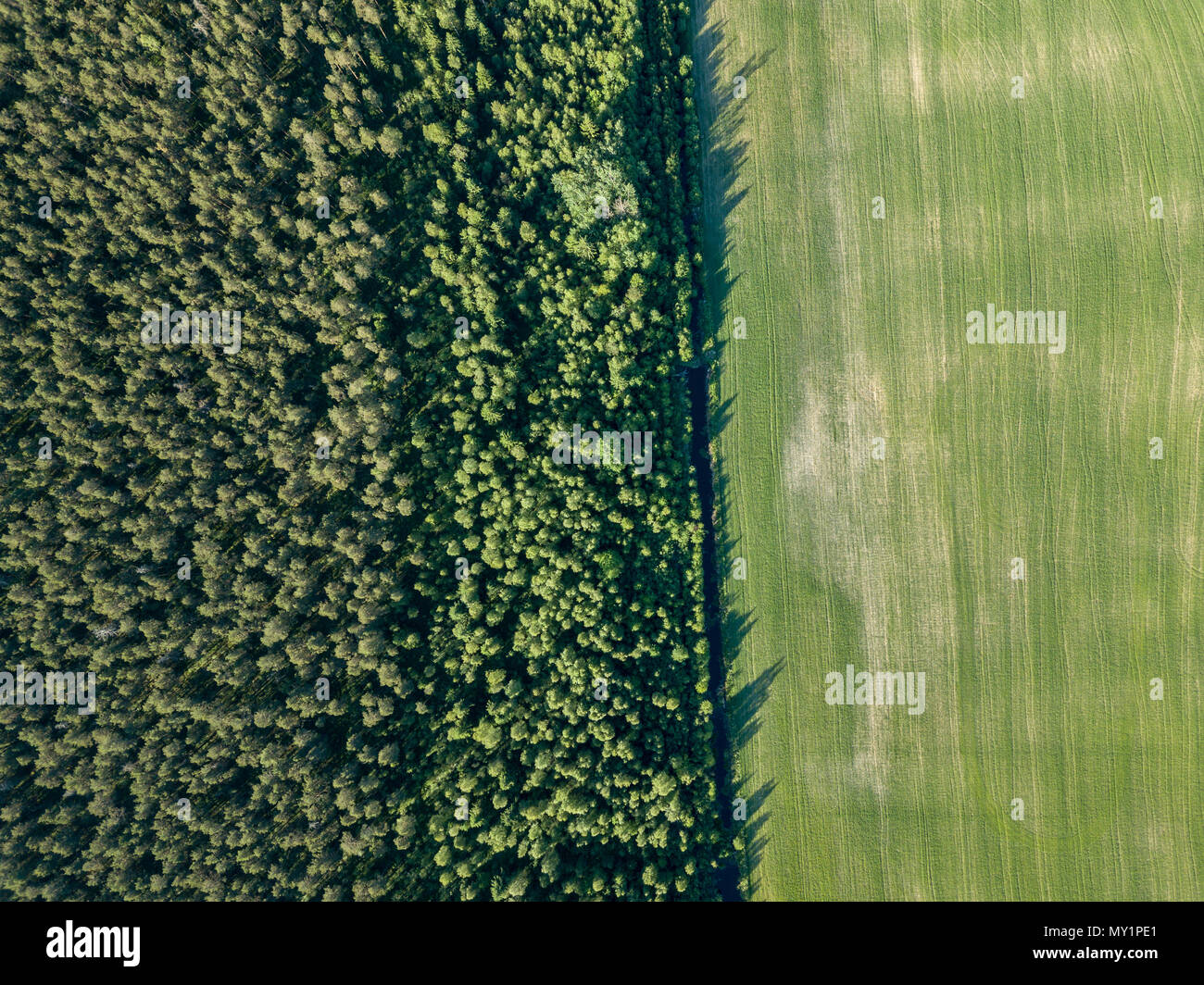 drone image. aerial view of rural area with fields and forests in ...