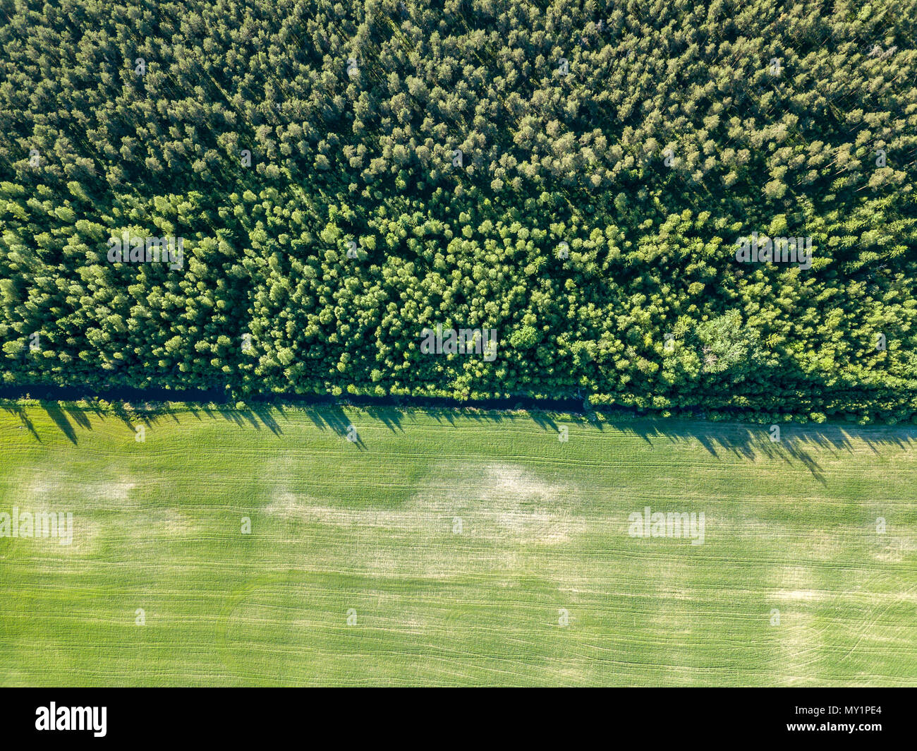 drone image. aerial view of rural area with fields and forests in ...
