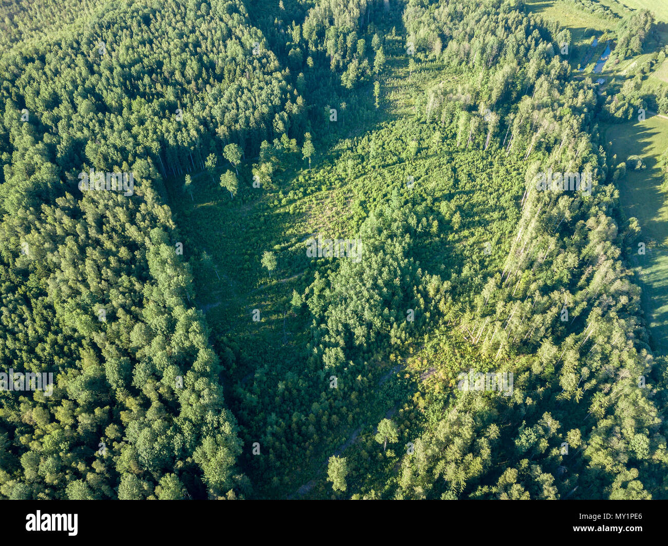 drone image. aerial view of rural area with fields and forests in ...
