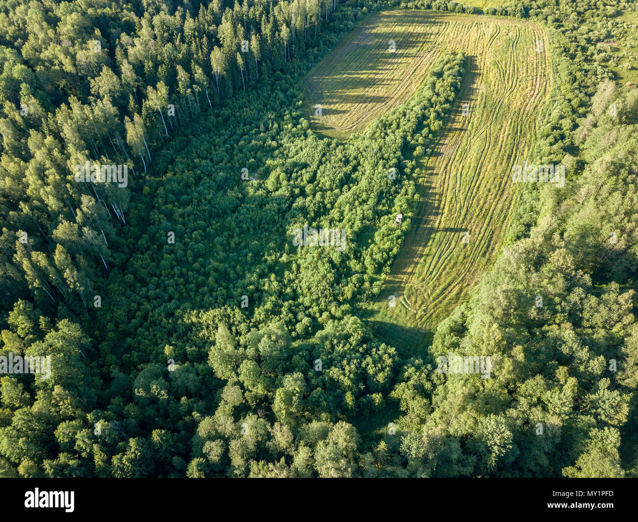 drone image. aerial view of rural area with fields and forests in ...