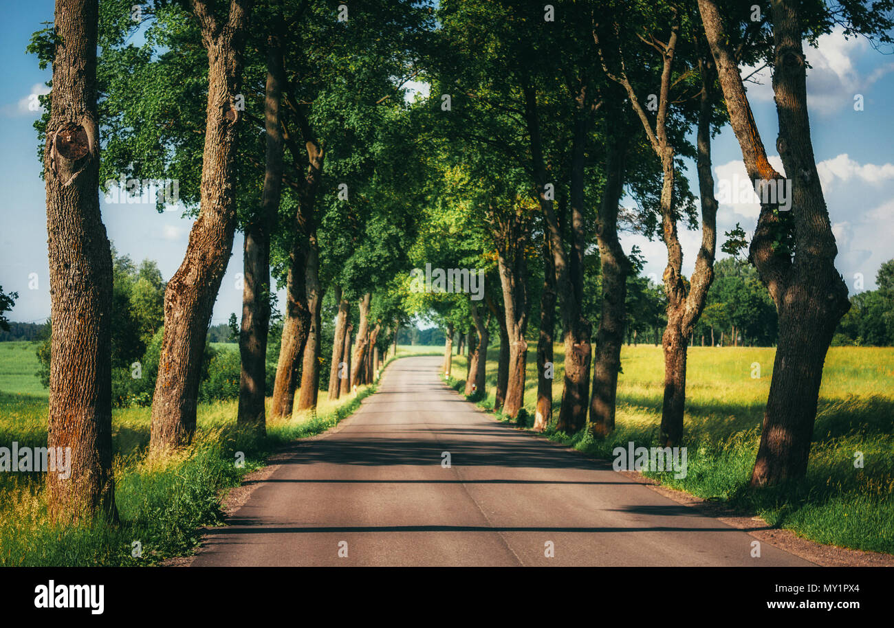 Country road running hi-res stock photography and images - Alamy