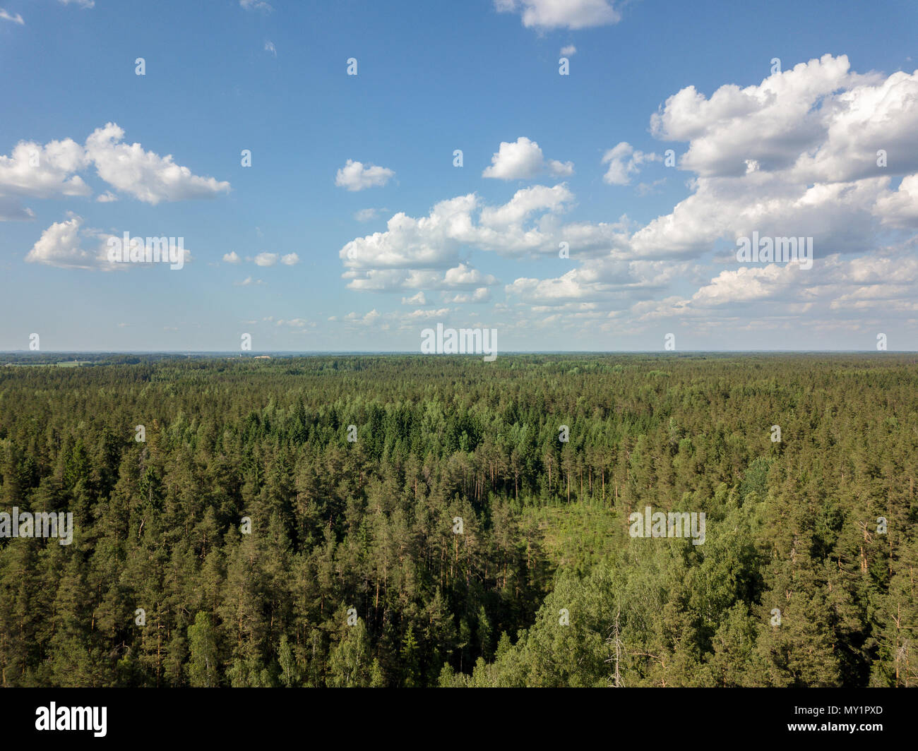 drone image. aerial view of rural area with fields and forests in ...