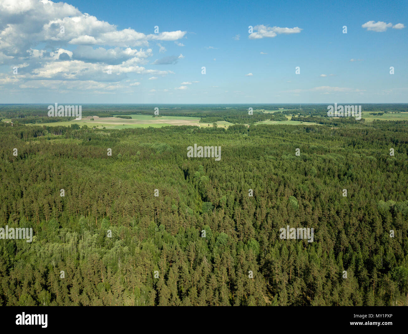 drone image. aerial view of rural area with fields and forests in ...
