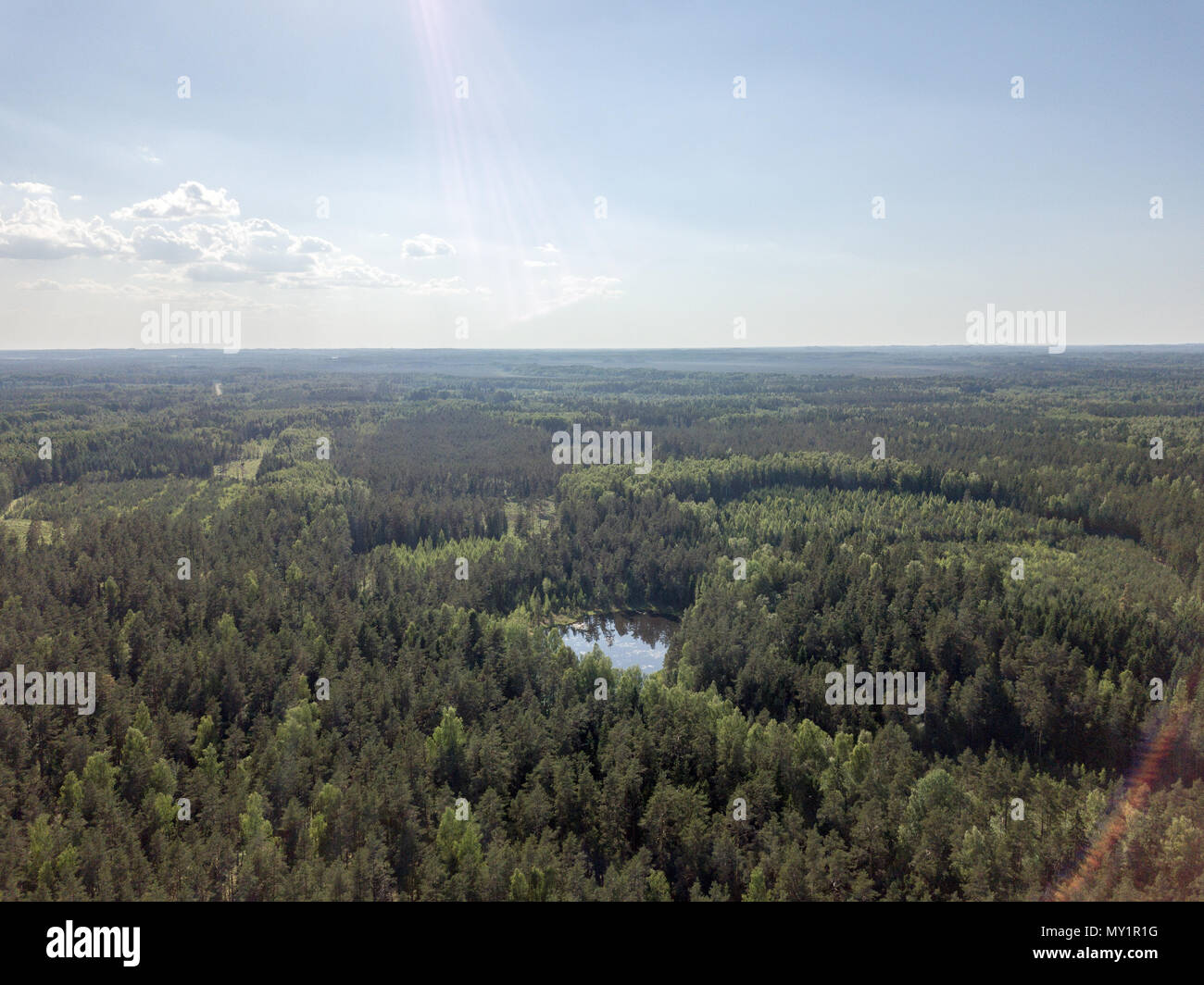 drone image. aerial view of rural area with fields and forests in ...