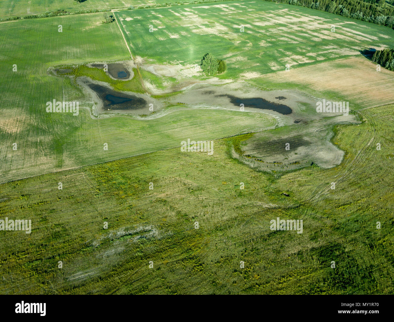 drone image. aerial view of empty cultivated fields spring day. latvia ...