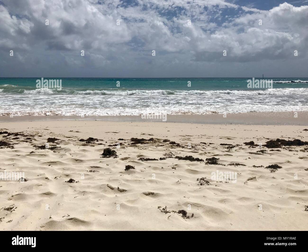 Beautiful panoramic view of an scenic untouched sand beach in Barbados ...