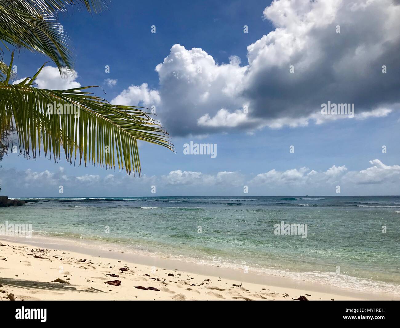Idyllic beautiful beach in Barbados (Caribbean island) creating the ...