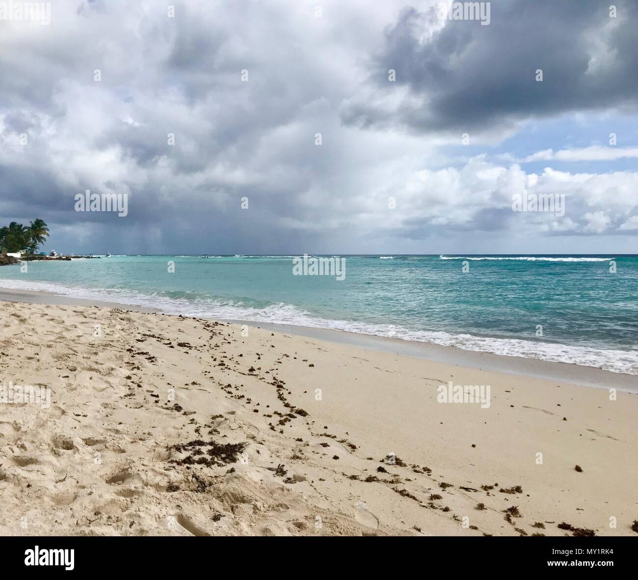 Idyllic and beautiful afternoon at the beach in Barbados (Caribbean ...