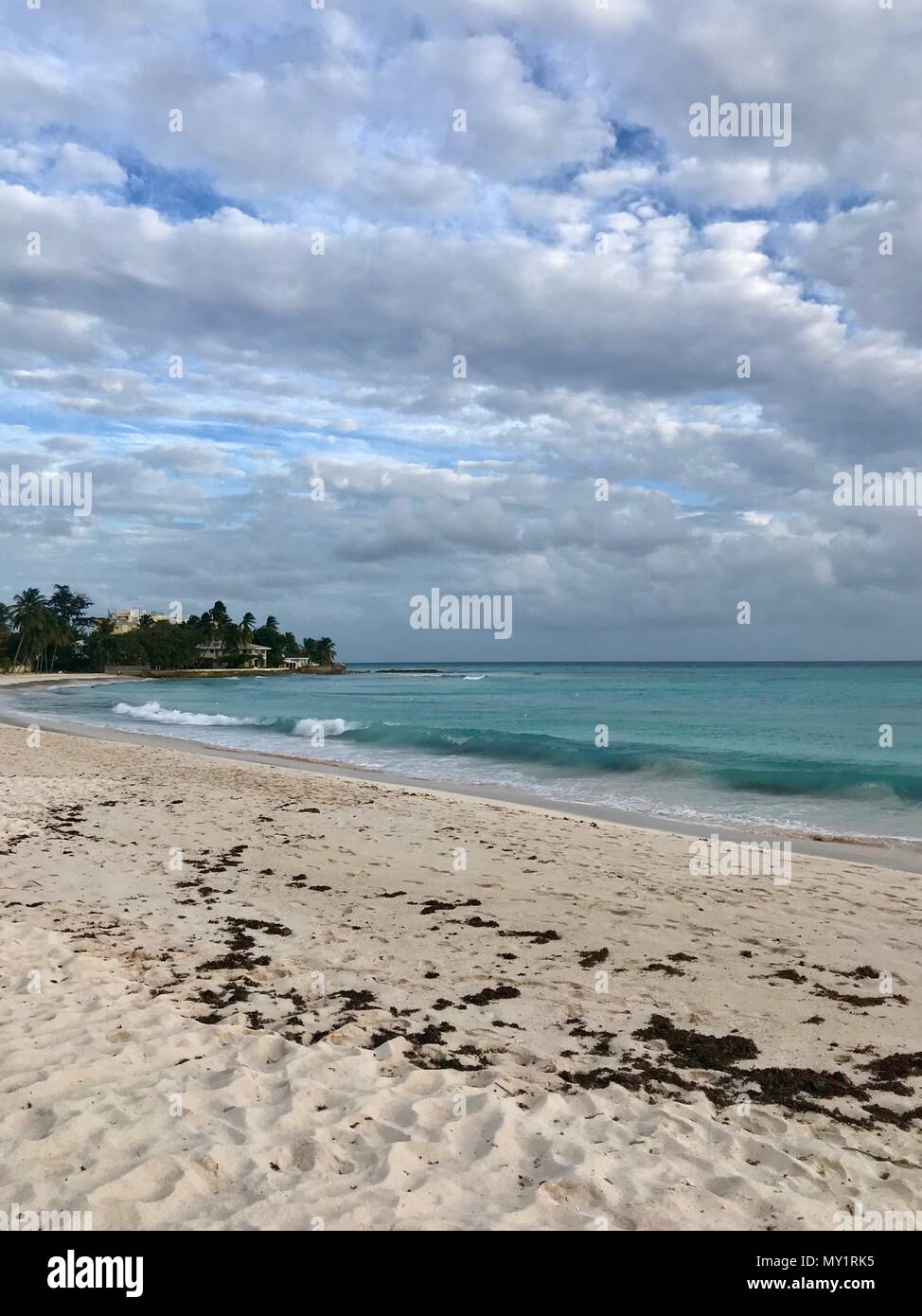 Beautiful panoramic view of an scenic untouched sand beach in Barbados ...
