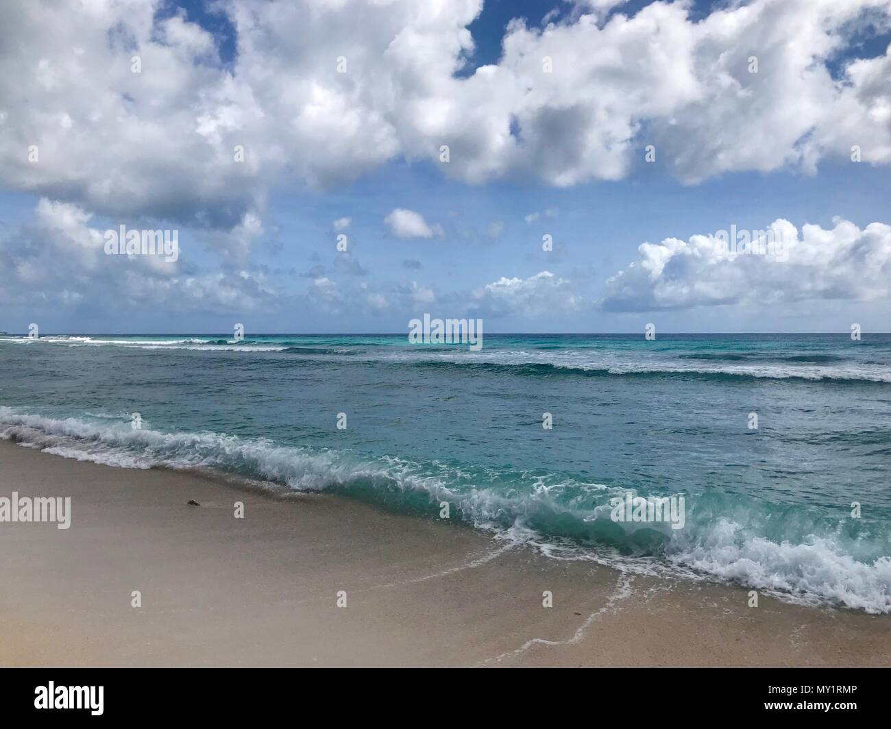 Beautiful panoramic view of an scenic untouched sand beach in Barbados ...