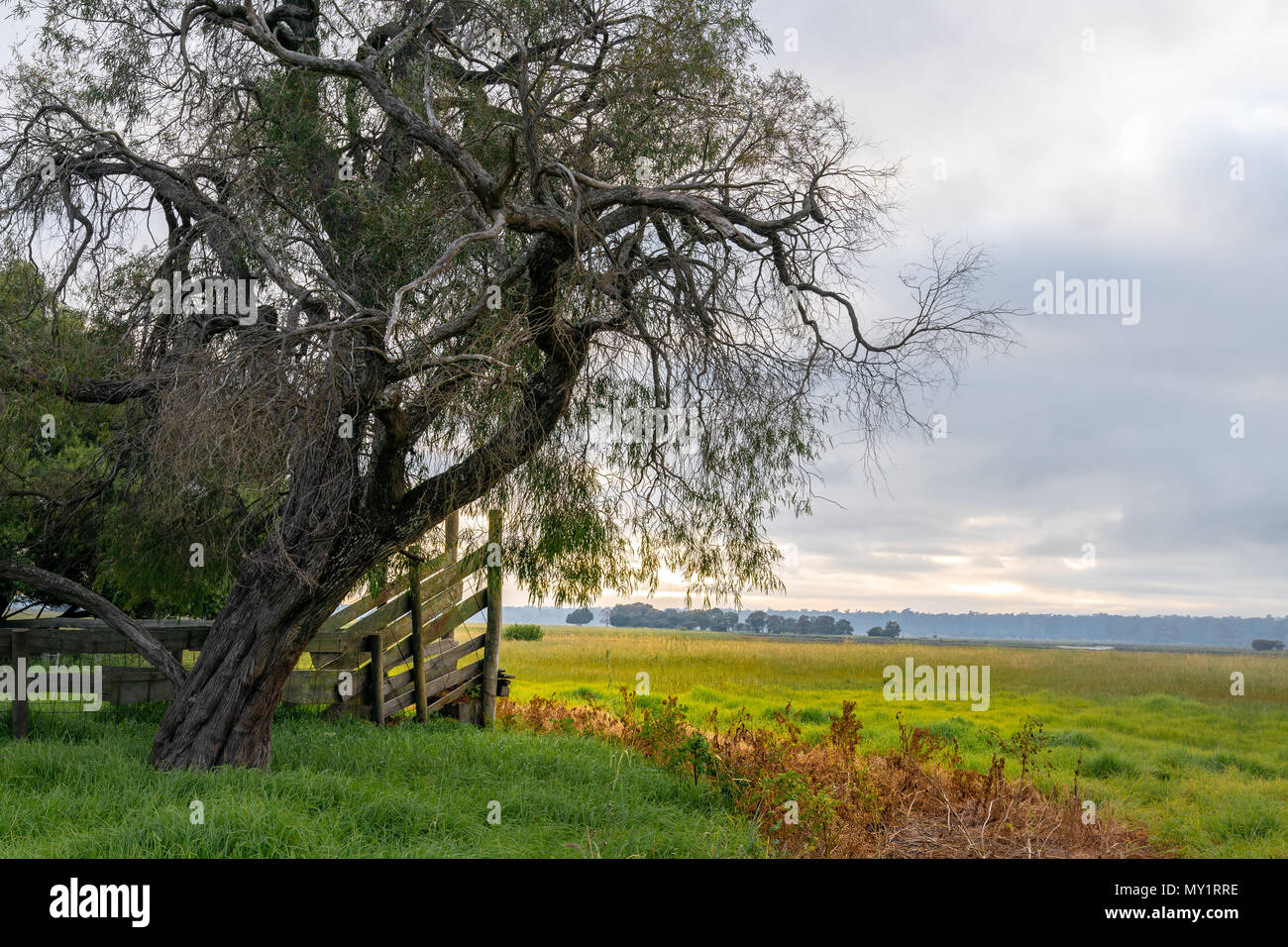 Old Timber Farming Ramp High Resolution Stock Photography and Images ...