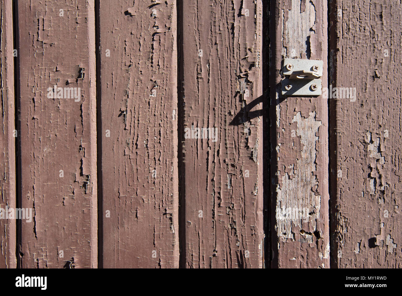 An old timber door with cracked and peeling paint and exposed raw wood ...