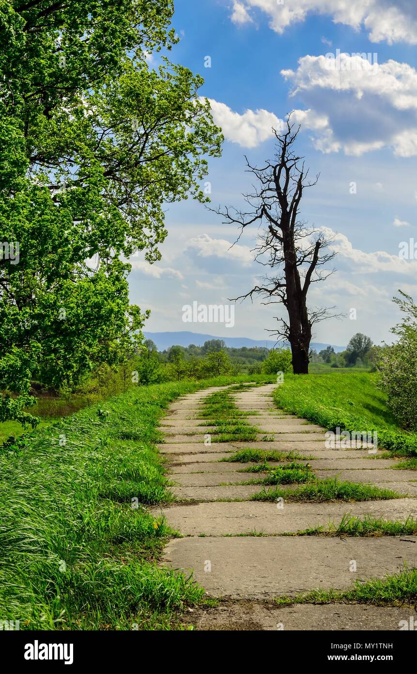 Beautiful spring landscape. Concrete road in the countryside Stock ...