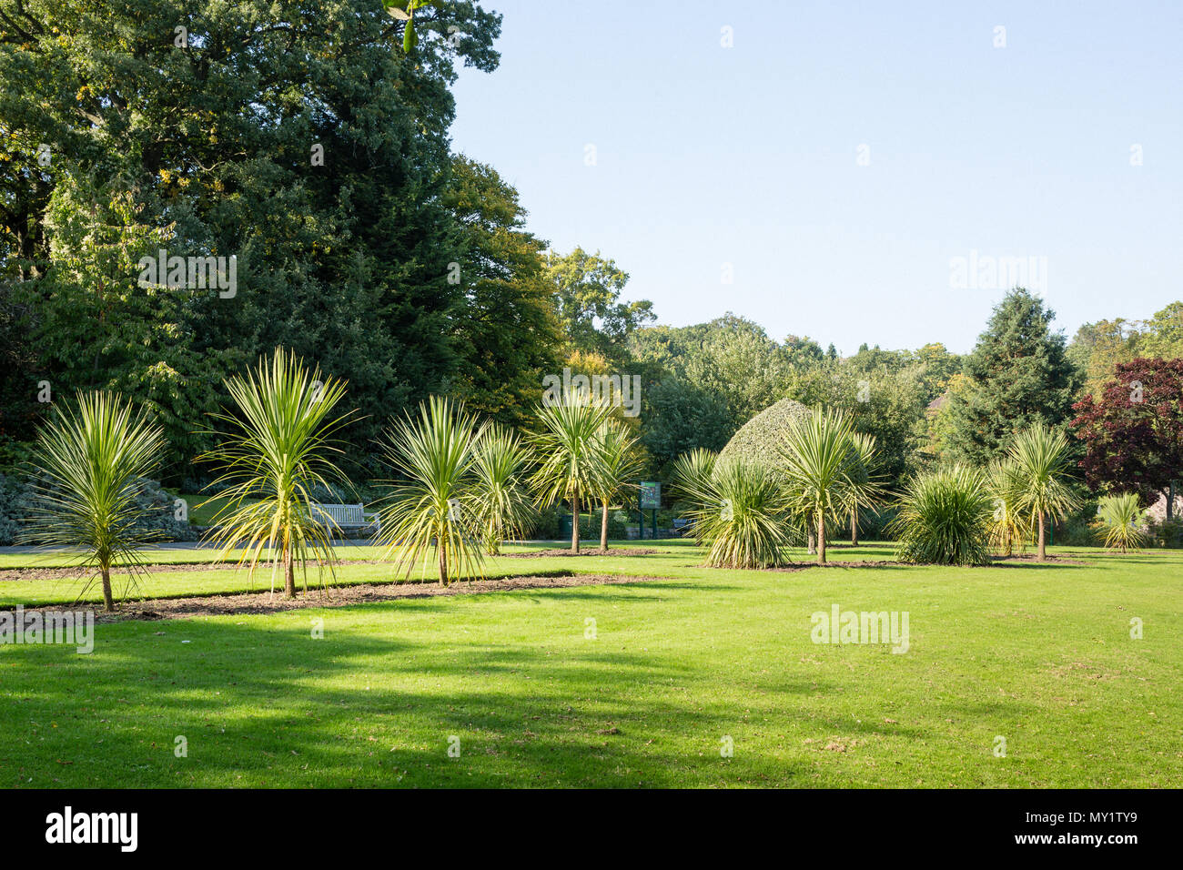 Sydenham Wells Park in Lewisham, South East London Stock Photo - Alamy