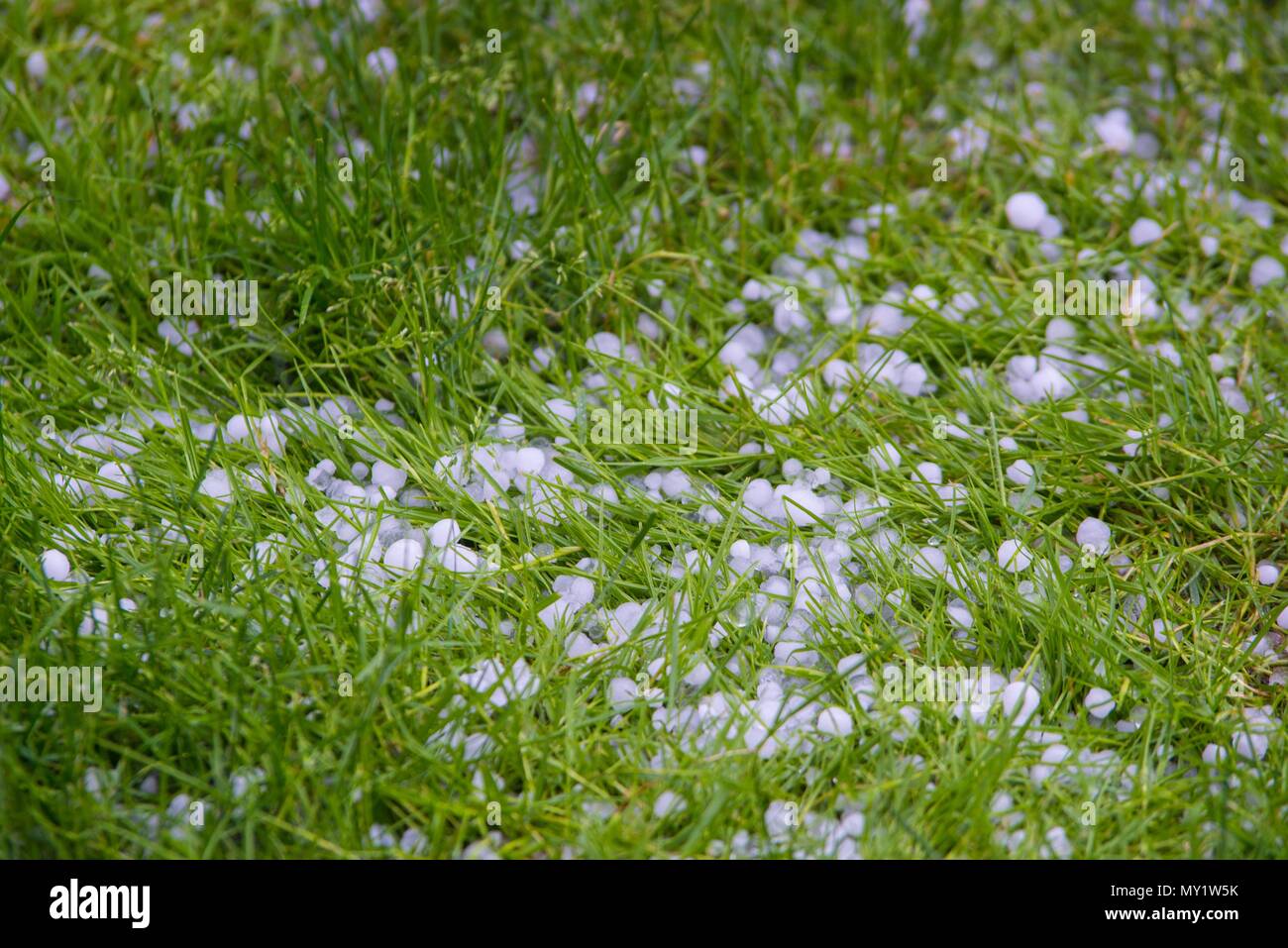 Ice hail balls after heavy summer storm Stock Photo - Alamy