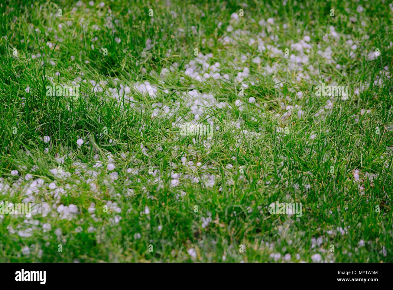 Ice hail balls after heavy summer storm Stock Photo - Alamy