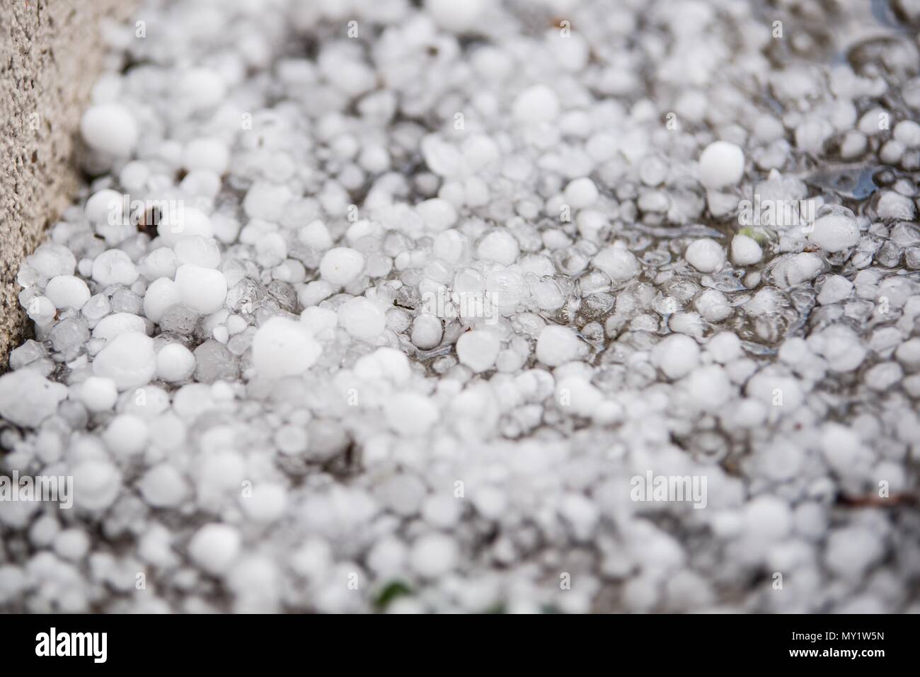 Large hail ice balls after heavy summer storm Stock Photo - Alamy
