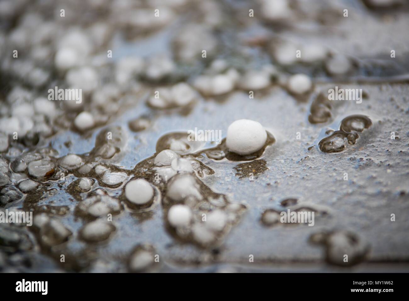 Large hail ice balls after heavy summer storm Stock Photo - Alamy