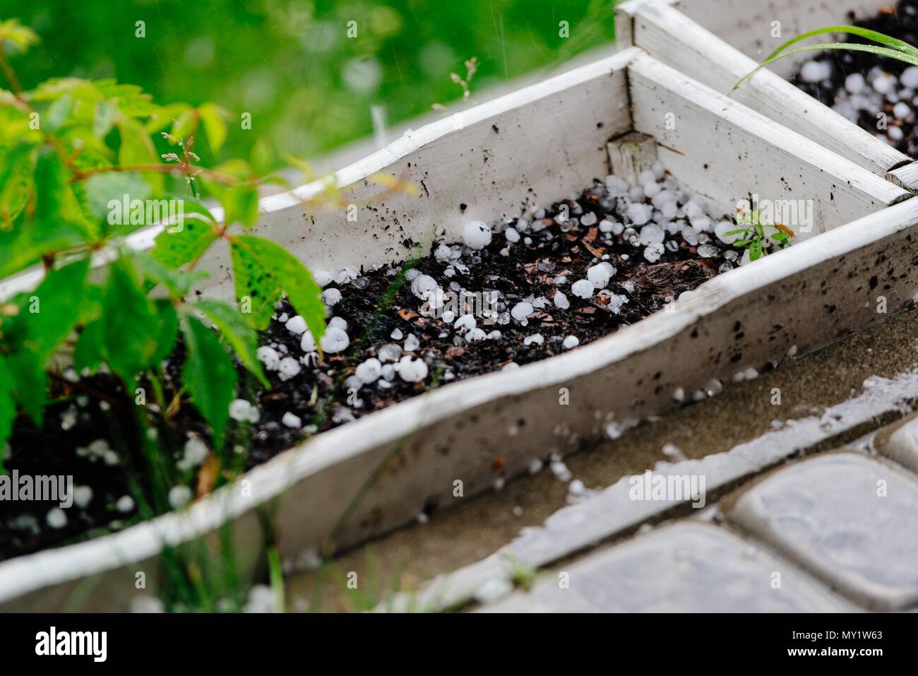 Hail balls hi-res stock photography and images - Alamy