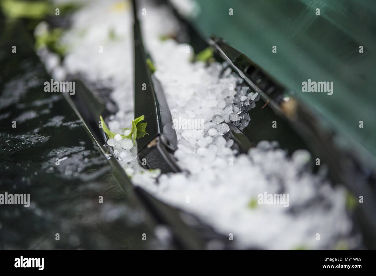 Large hail ice balls on car hood after heavy summer storm Stock Photo ...