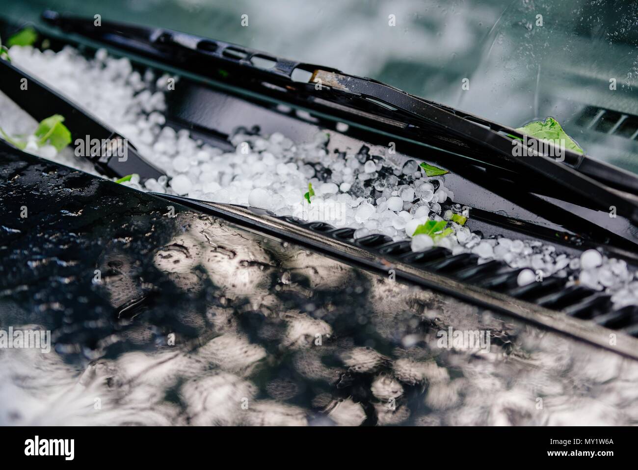 Heavy freezing rain ice storm hi-res stock photography and images - Alamy