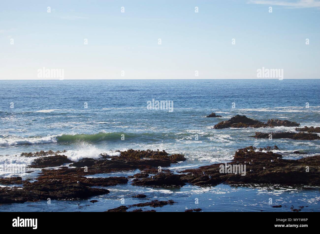 Beautiful coastal view in California (USA): Pacific ocean with ...