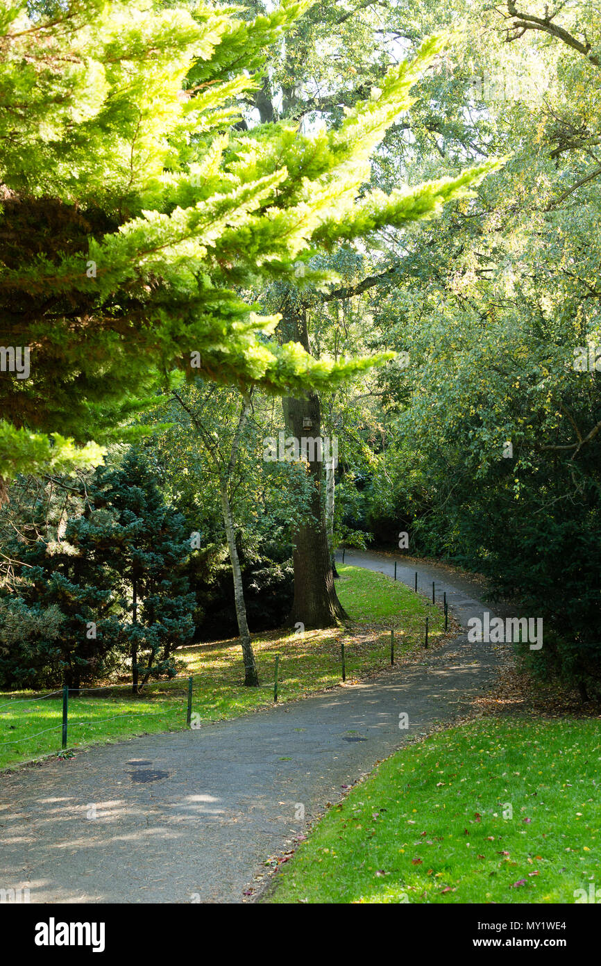 Sydenham lewisham hi-res stock photography and images - Alamy