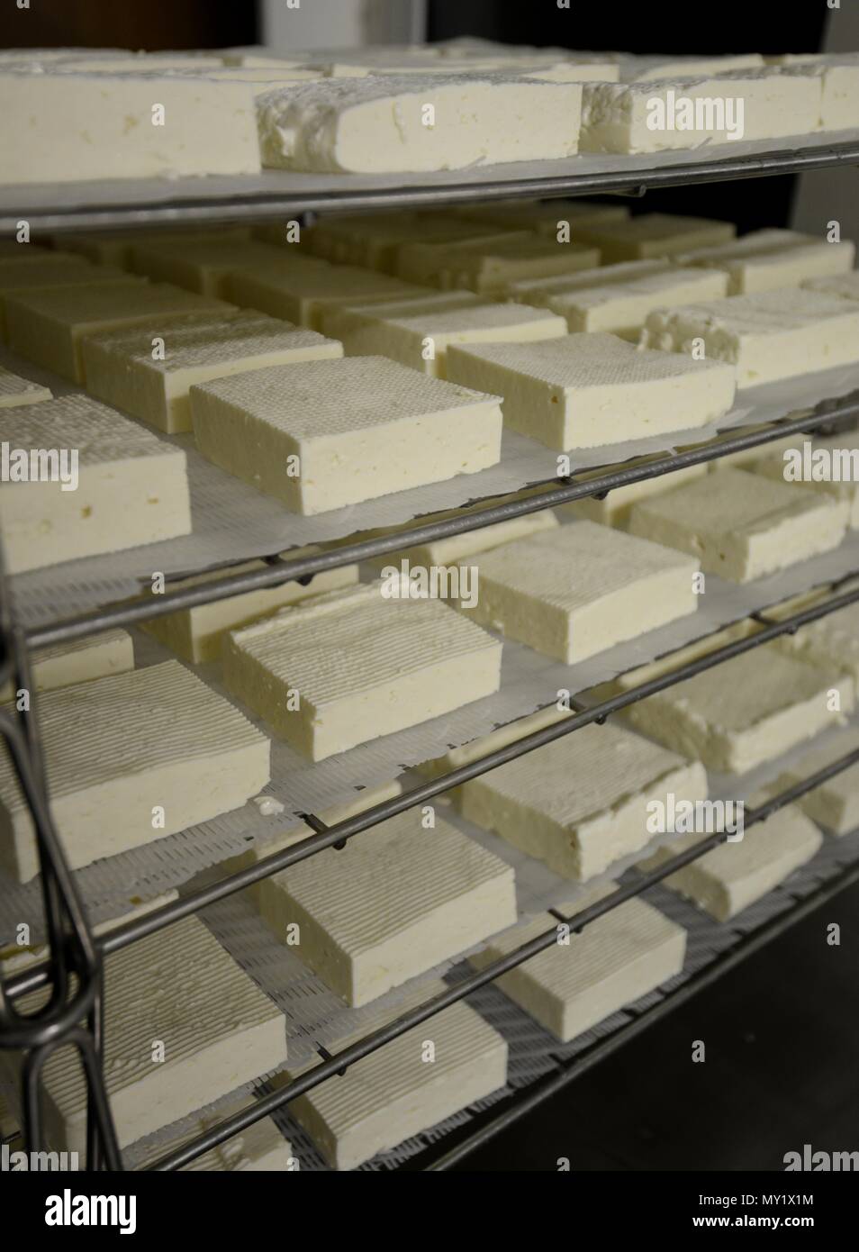 Sheep Dairy Pictured Soft cheese 05/01/2016 Stock Photo - Alamy