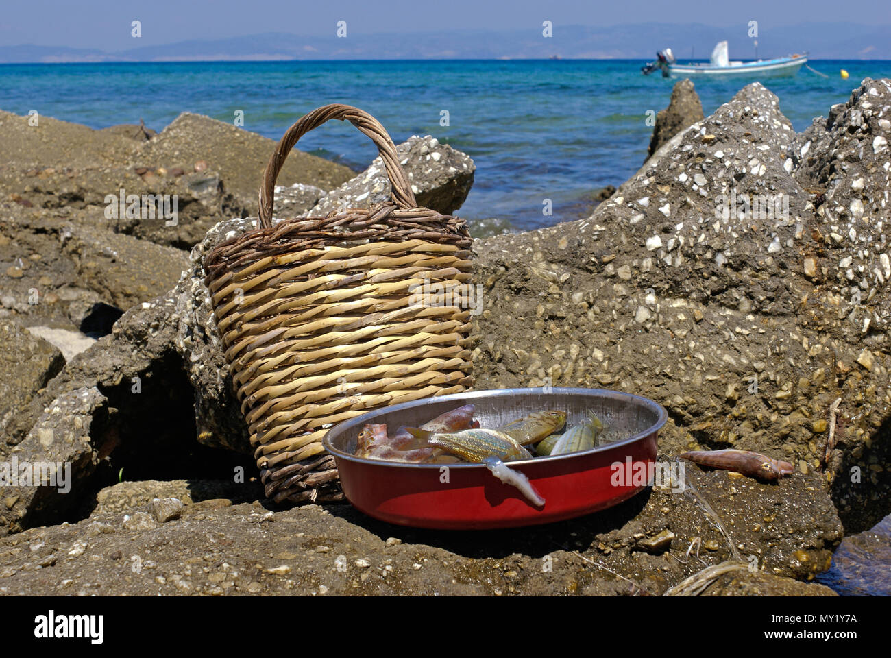Seafood counter greece hi-res stock photography and images - Alamy