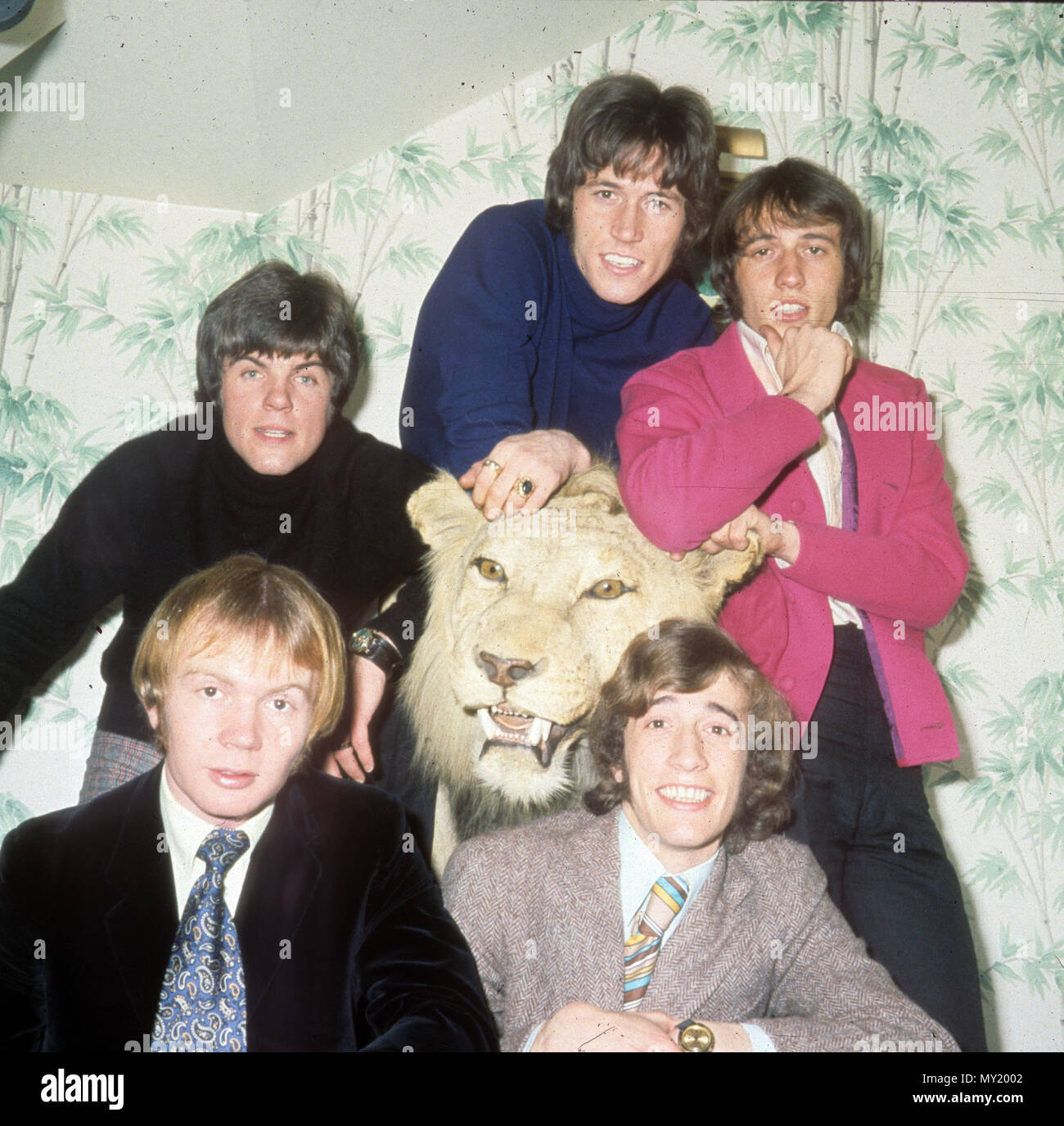 BEE GEES original 1967 line up clockwise from top: the Gibb brothers ...