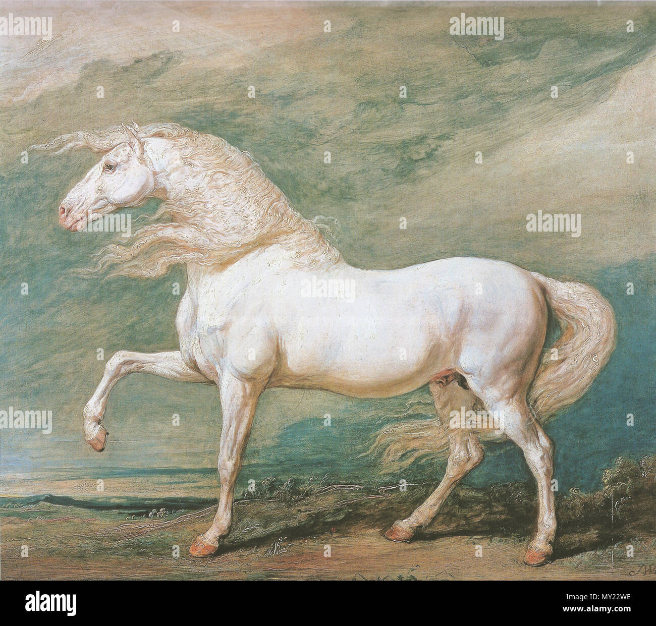 . Portrait of horse Adonis, King George III's favourite charger, by ...