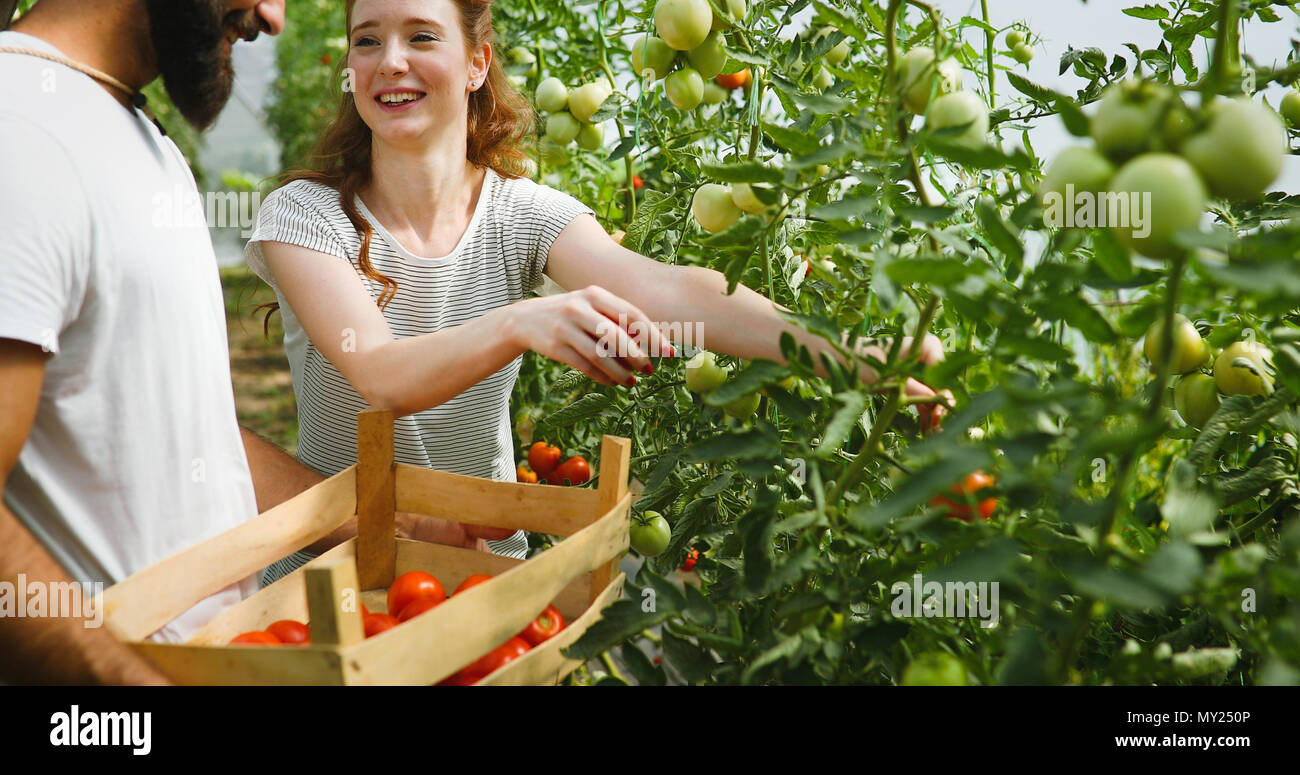 Farmers farming crops hi-res stock photography and images - Alamy