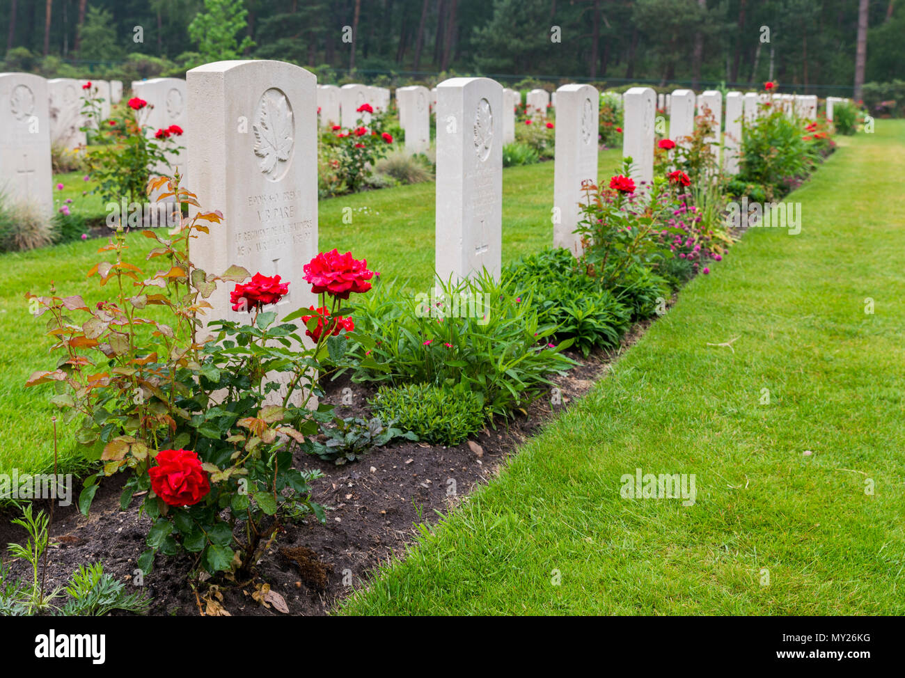 Holten,Netherlands - June 01, 2018: Well maintained graves of fallen ...