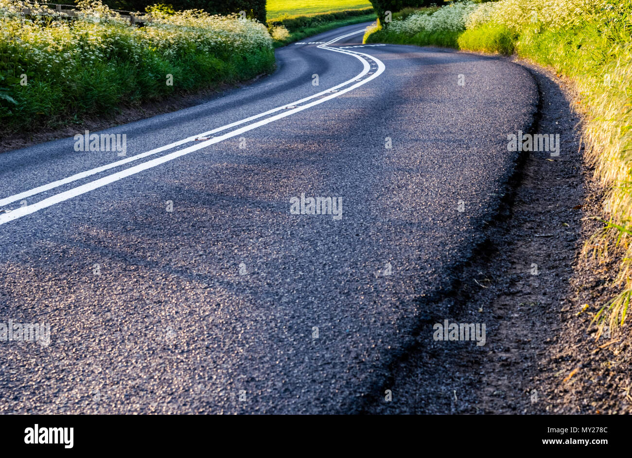 Bend hedge hi-res stock photography and images - Alamy
