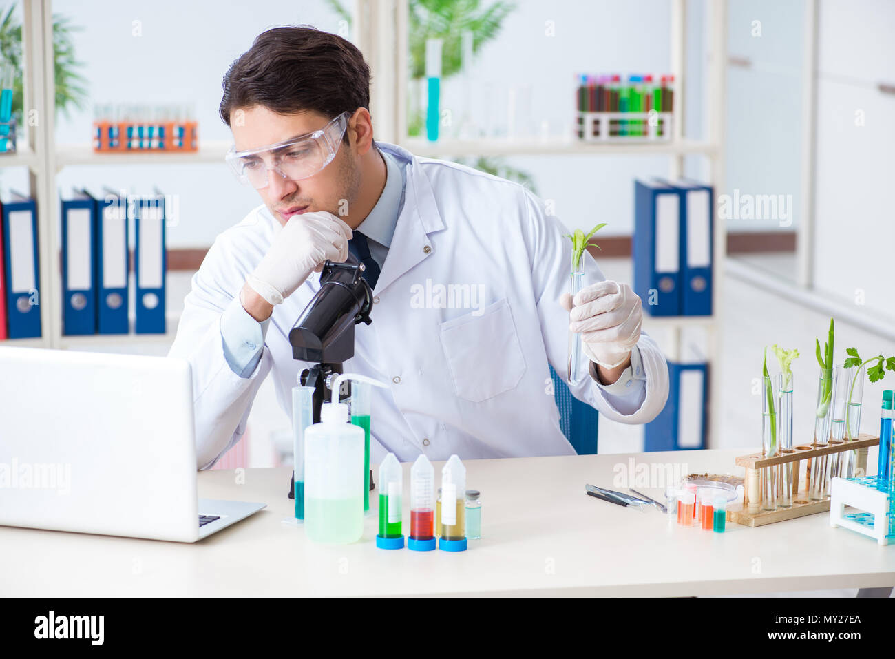 Male biochemist working in the lab on plants Stock Photo - Alamy