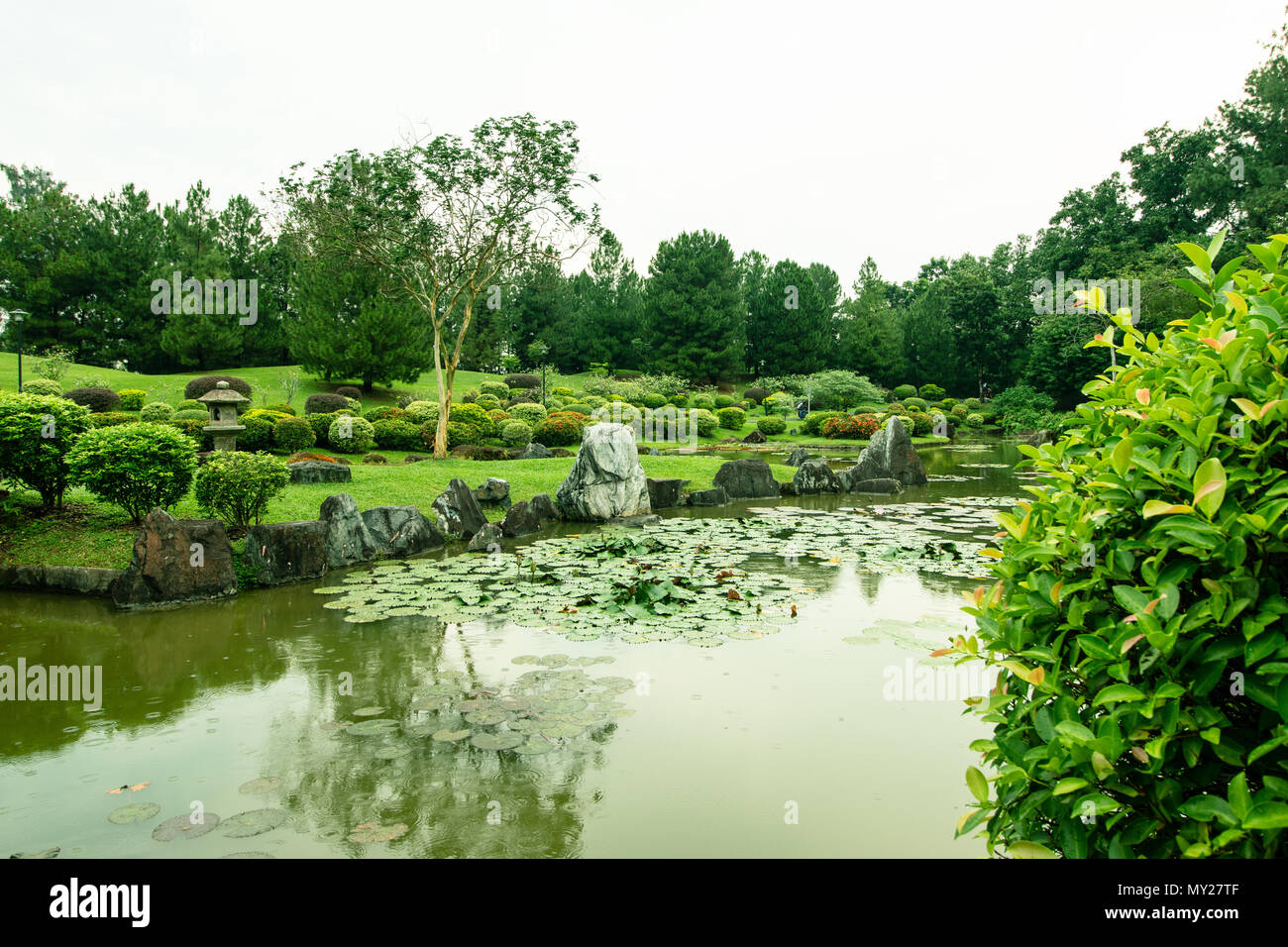 Greenery view of Japanese Garden,Singapore Stock Photo - Alamy