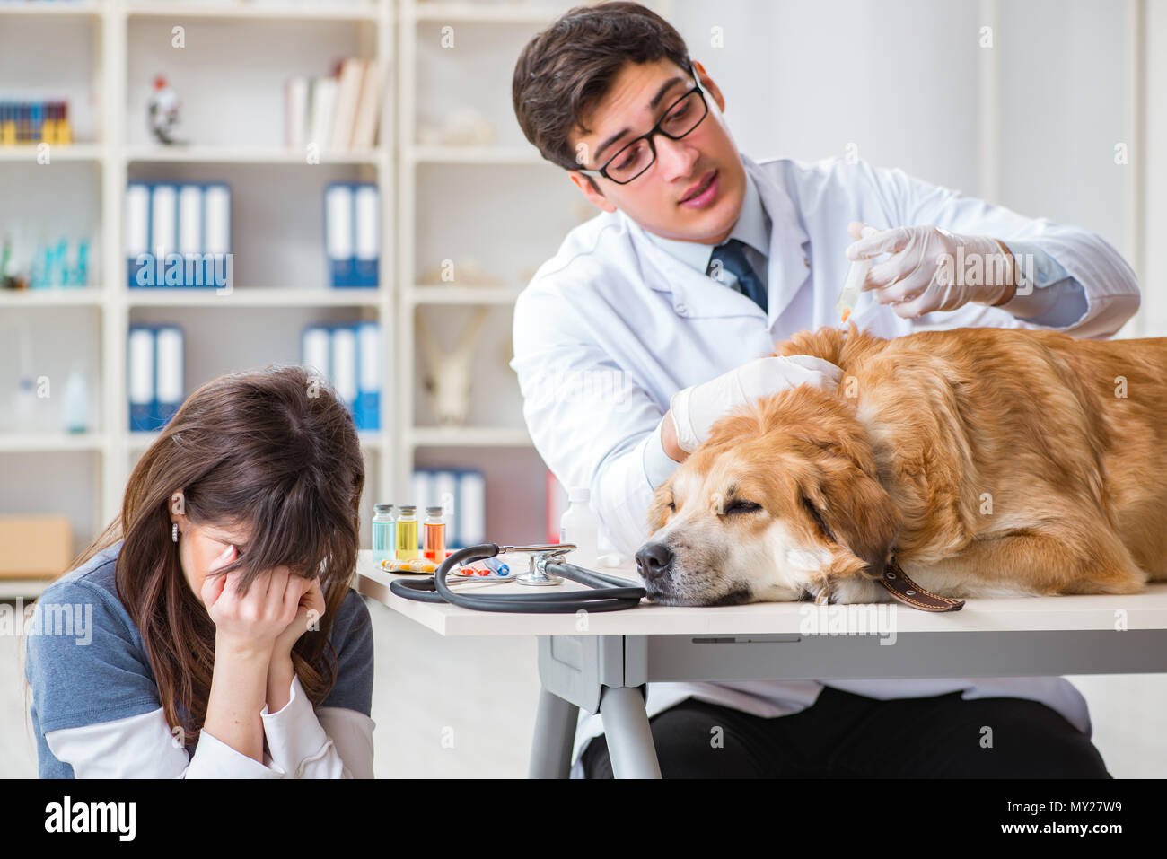 Worried vet checking dog hi-res stock photography and images - Alamy