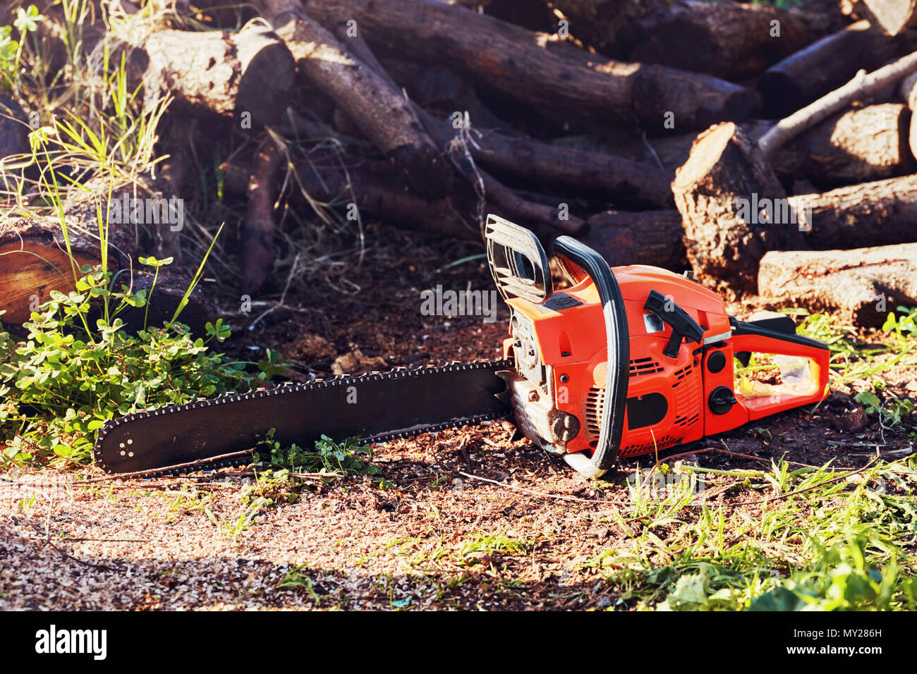 Chainsaw woodworking hi-res stock photography and images - Alamy