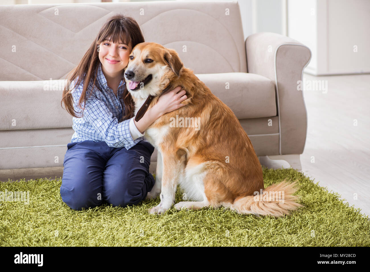 Happy woman dog owner at home with golden retriever Stock Photo - Alamy
