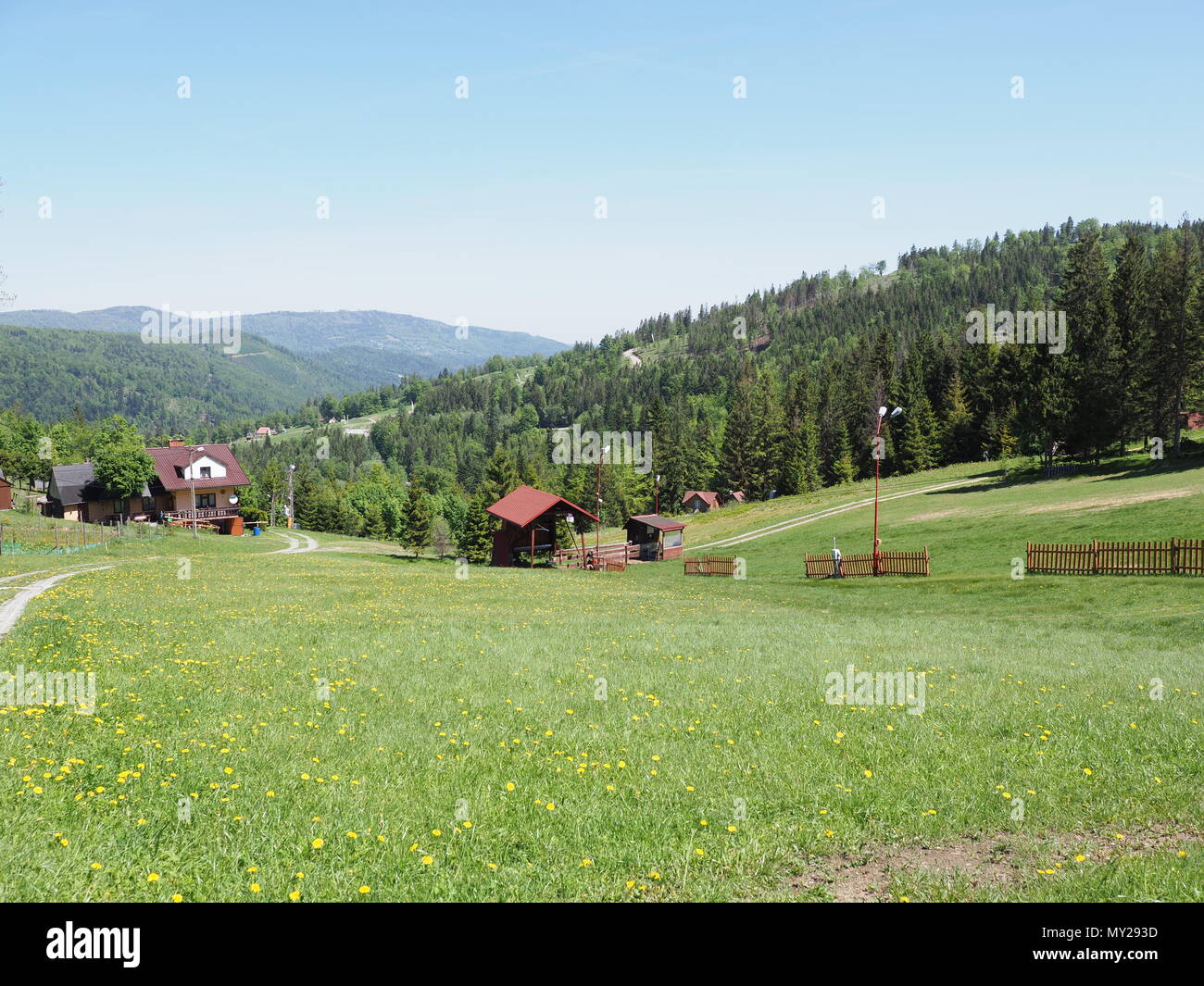 Fabulous landscapes of grassy field and forest at Beskid Mountains ...