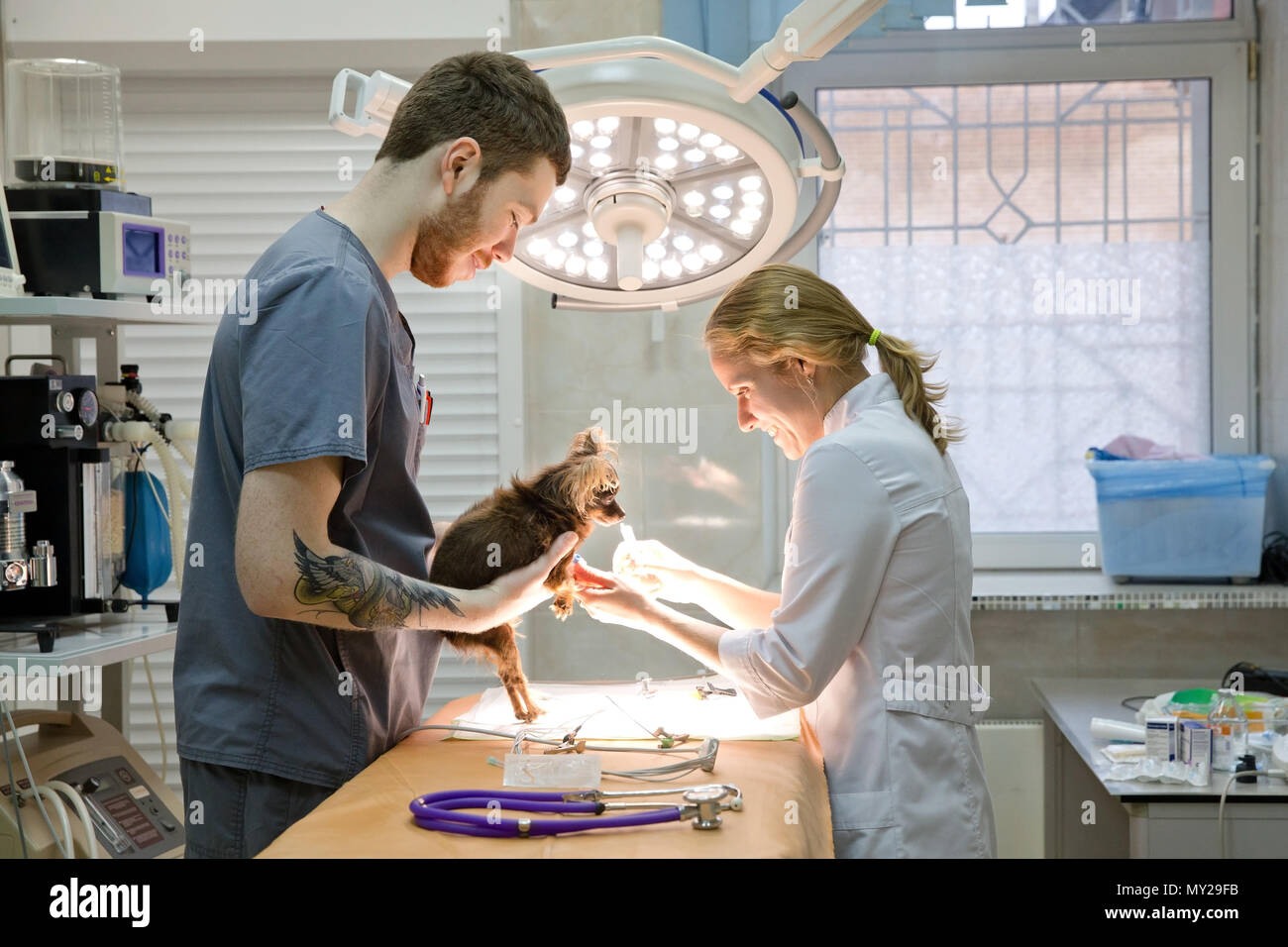 Treatment Room High Resolution Stock Photography and Images - Alamy