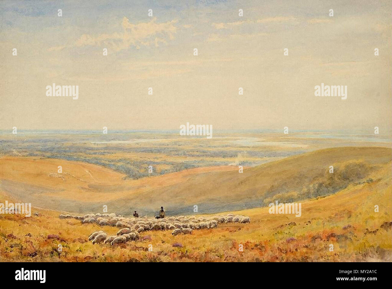 Surrey border hi-res stock photography and images - Alamy